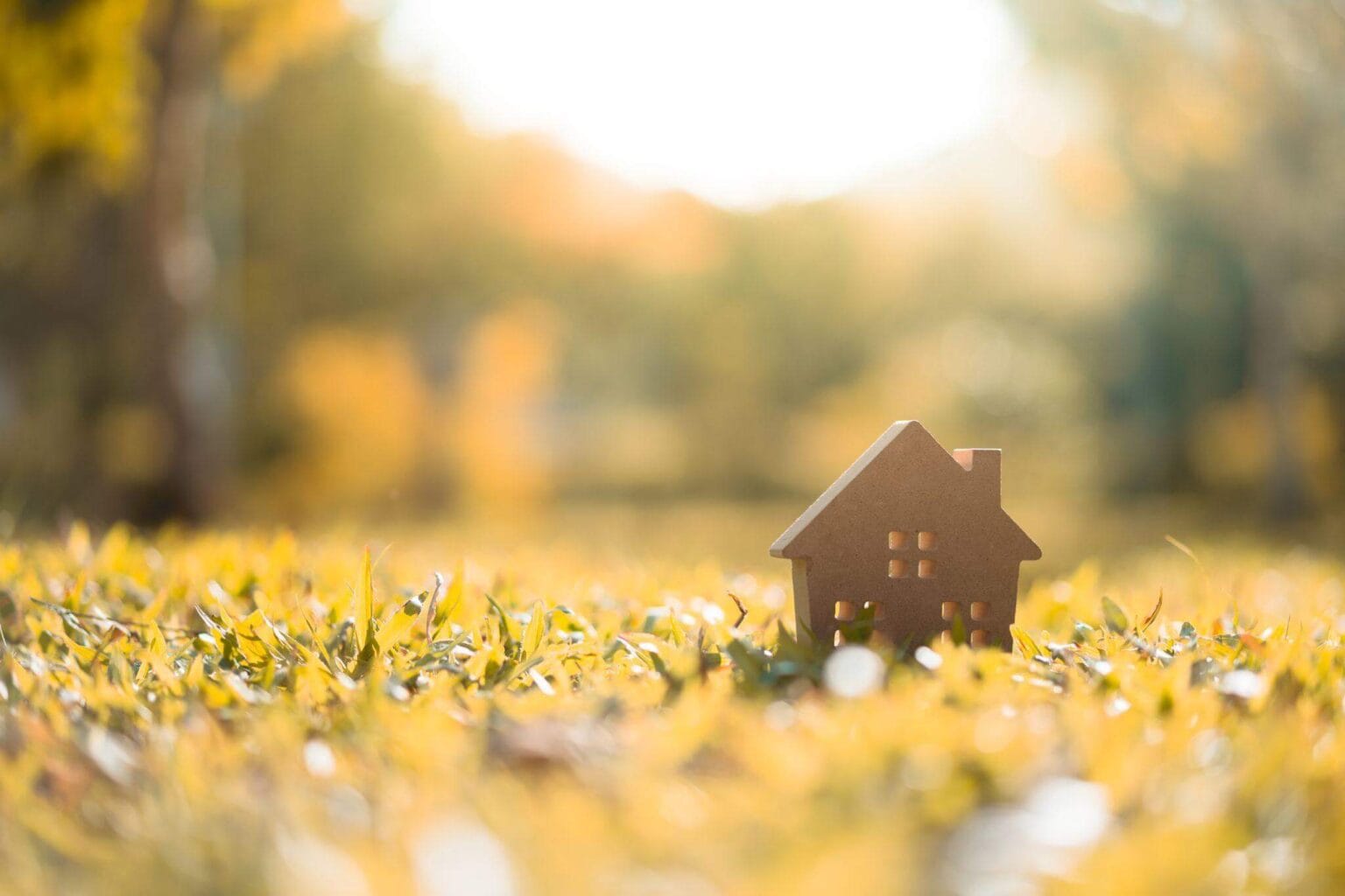 Fall Move-In Ready Homes | Alquinn Quick Possessions